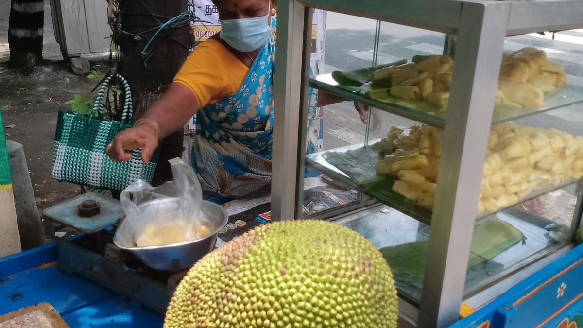 Jackfruit prices fall in Salem amid increased supply and unseasonal rains - The Hindu